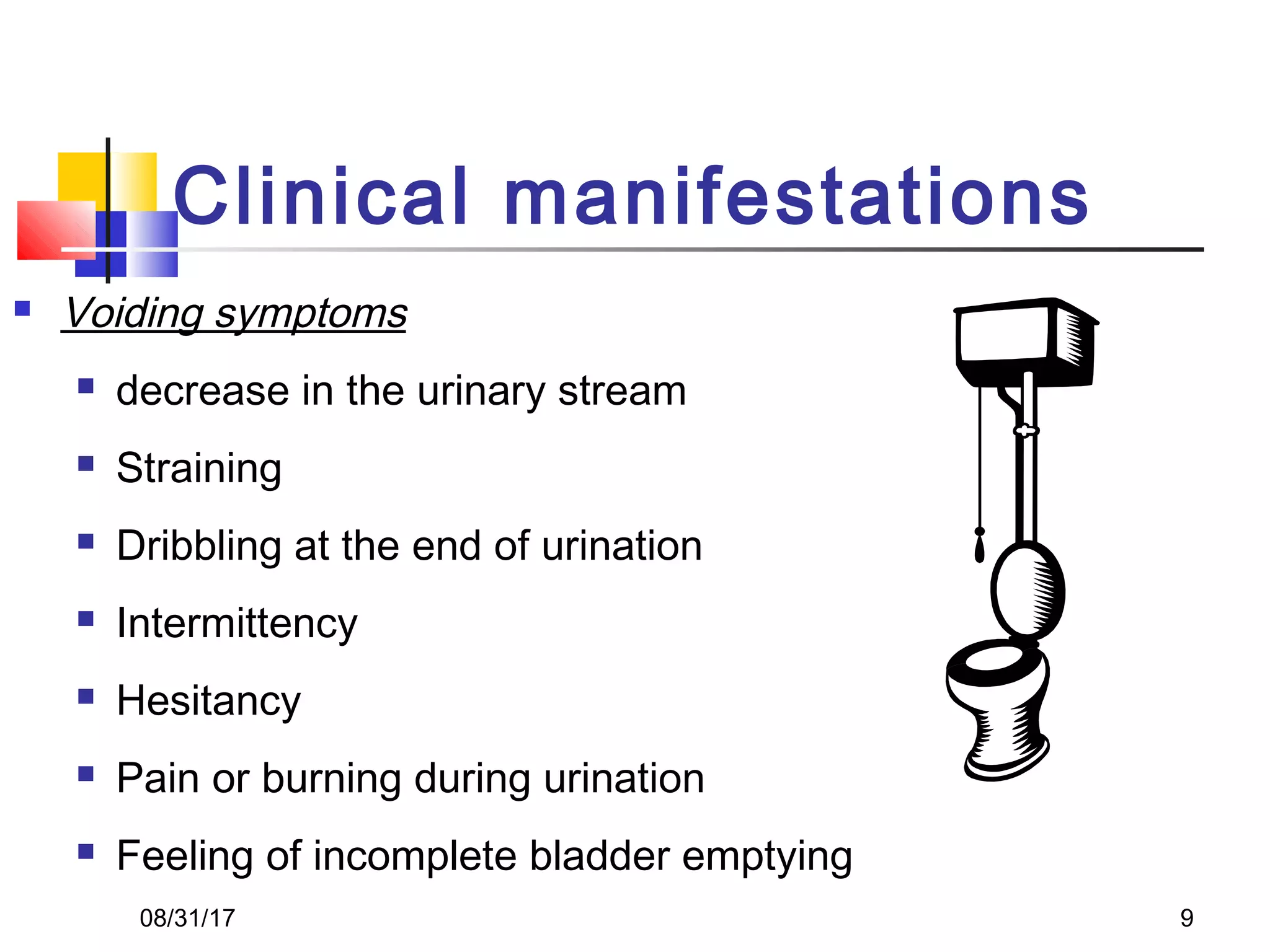 Benign prostatic hyperplasia | PPT