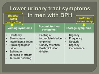 Benign prostatic hyperplasia | PPT