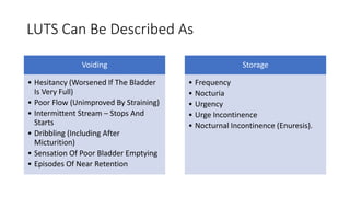 BENIGN PROSTATIC HYPERPLASIA LUTS management | PPT
