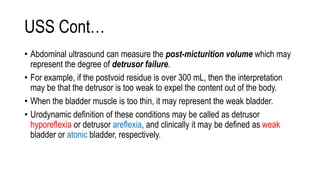 BENIGN PROSTATIC HYPERPLASIA.BPH. BPHpdf | PDF
