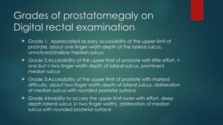 BENIGN PROSTATIC HYPERPLASIA (BPH)-1.pptx
