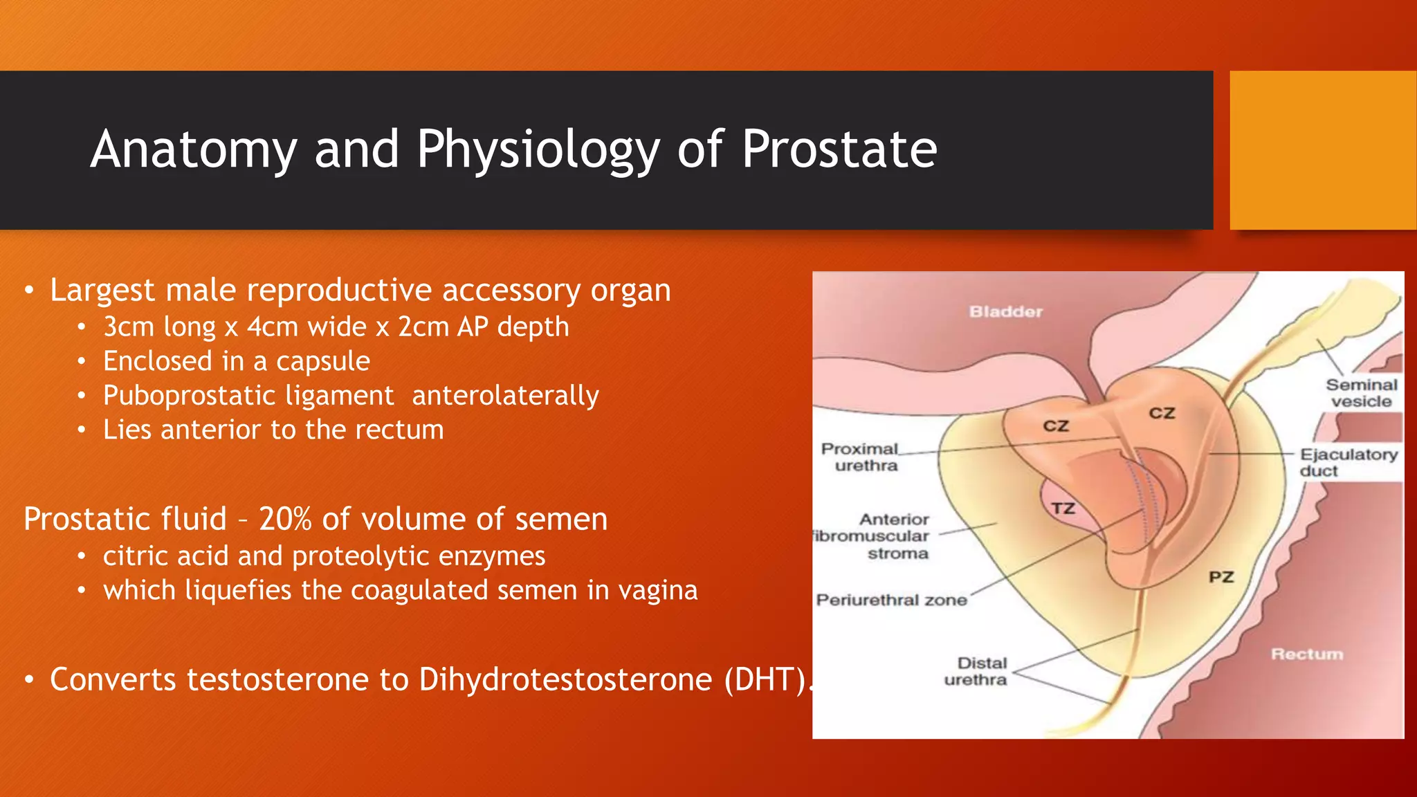 Benign prostatic hyperplasia (bph) | PPTX