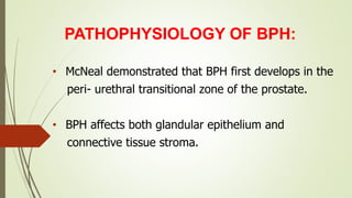BENIGN PROSTATIC HYPERPLASIA PPT.pptx