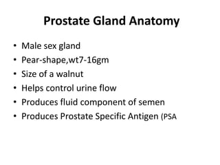 Benign prostatic hyperplasia | PPTX