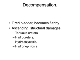 BENIGN PROSTATIC HYPERTROPY (HYPER PLASIA) {.ppt