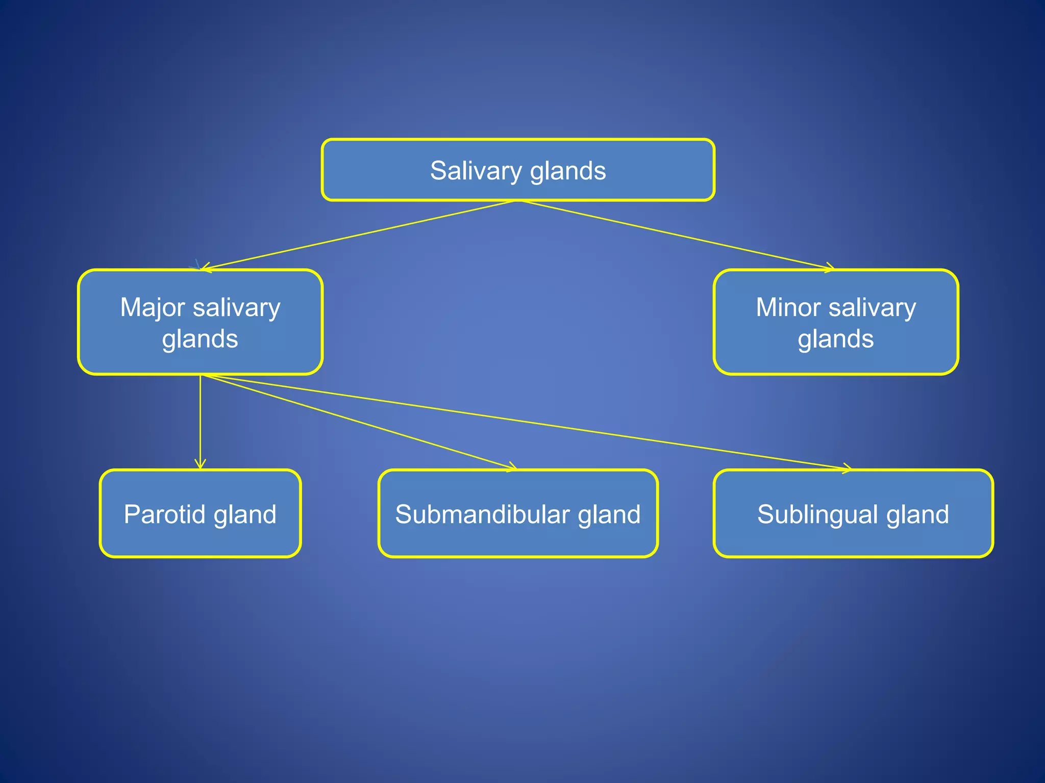 Benign salivary gland tumor BY DR. C. P. ARYA (B.Sc. B.D.S.; M.D.S.; P.M.S.; R.N.T.C.P.) | PPTX ...
