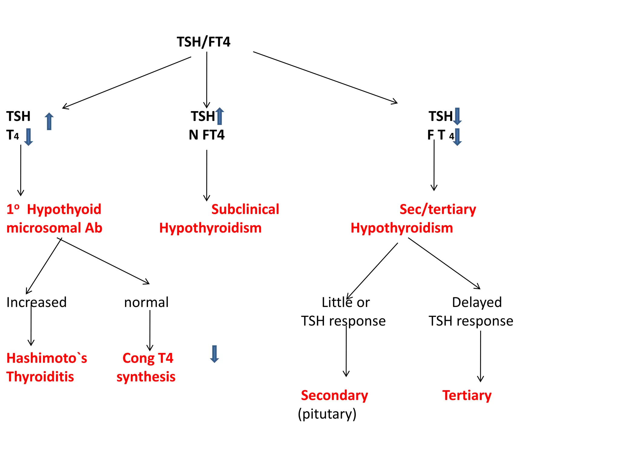 Benign Thyroid Conditions.pptx