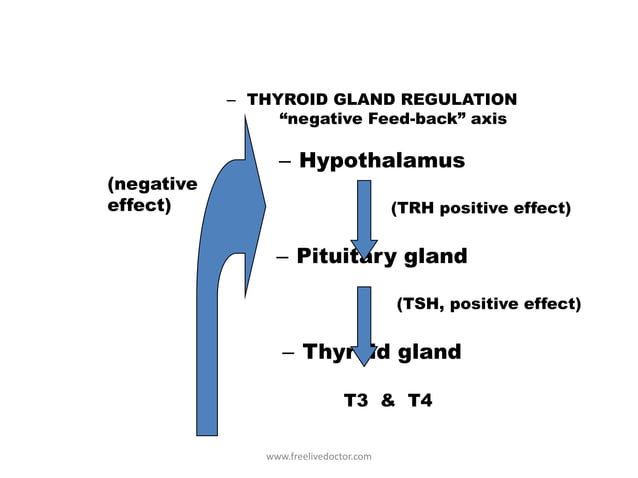 Benign Thyroid Conditions.pptx