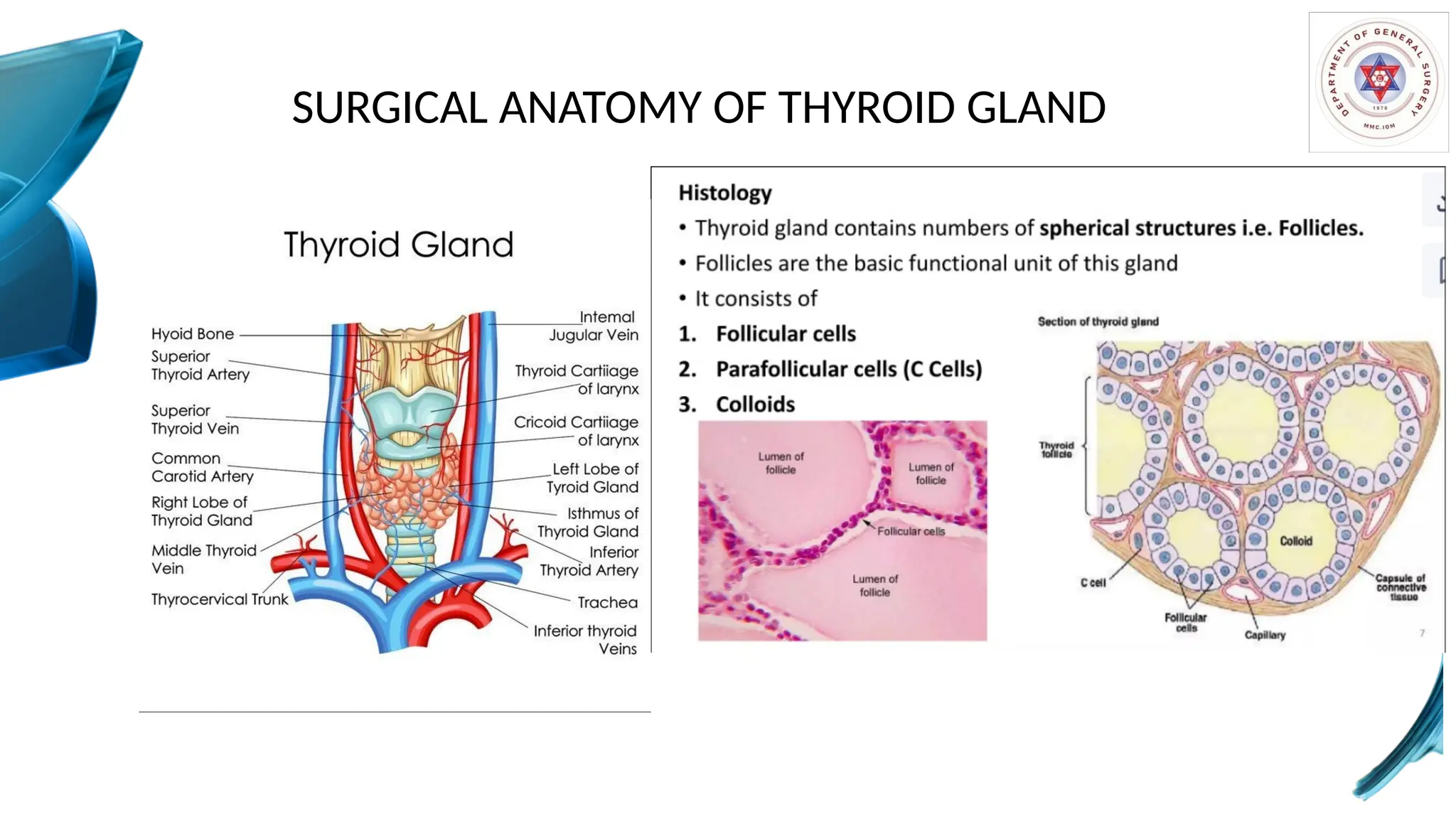 Benign Thyroid Diseases: Hypothyroidism and Hyperthyroidism; Graves ...