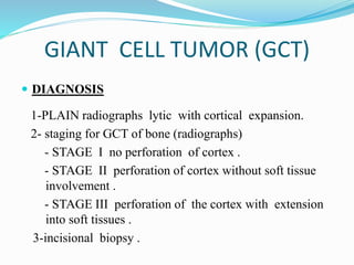 Benigntumorsinorthopaedics 141225104145-conversion-gate02 D. HAIFA ...