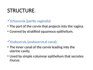 BENIGN TUMORS & LESIONS OF THE CERVIX- ANKUNDA.pptx