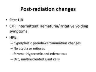 Benign tumors and Mimickers of UB tumors.pptx | Cancer | Diseases and ...