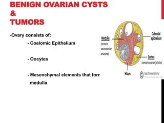 Benign tumours,cysts | PPTX