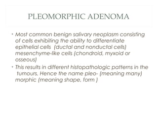 Benign tumours of salivary glands | PPT