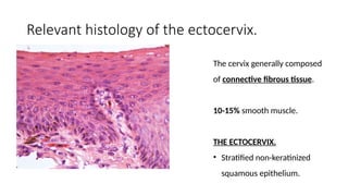 Benign / Pre-malignant Tumours of the cervix.pptx