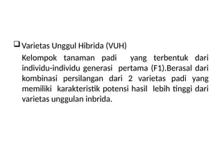 BENIH DAN VARIETAS UNGGUL PADI SAWAH.pptx