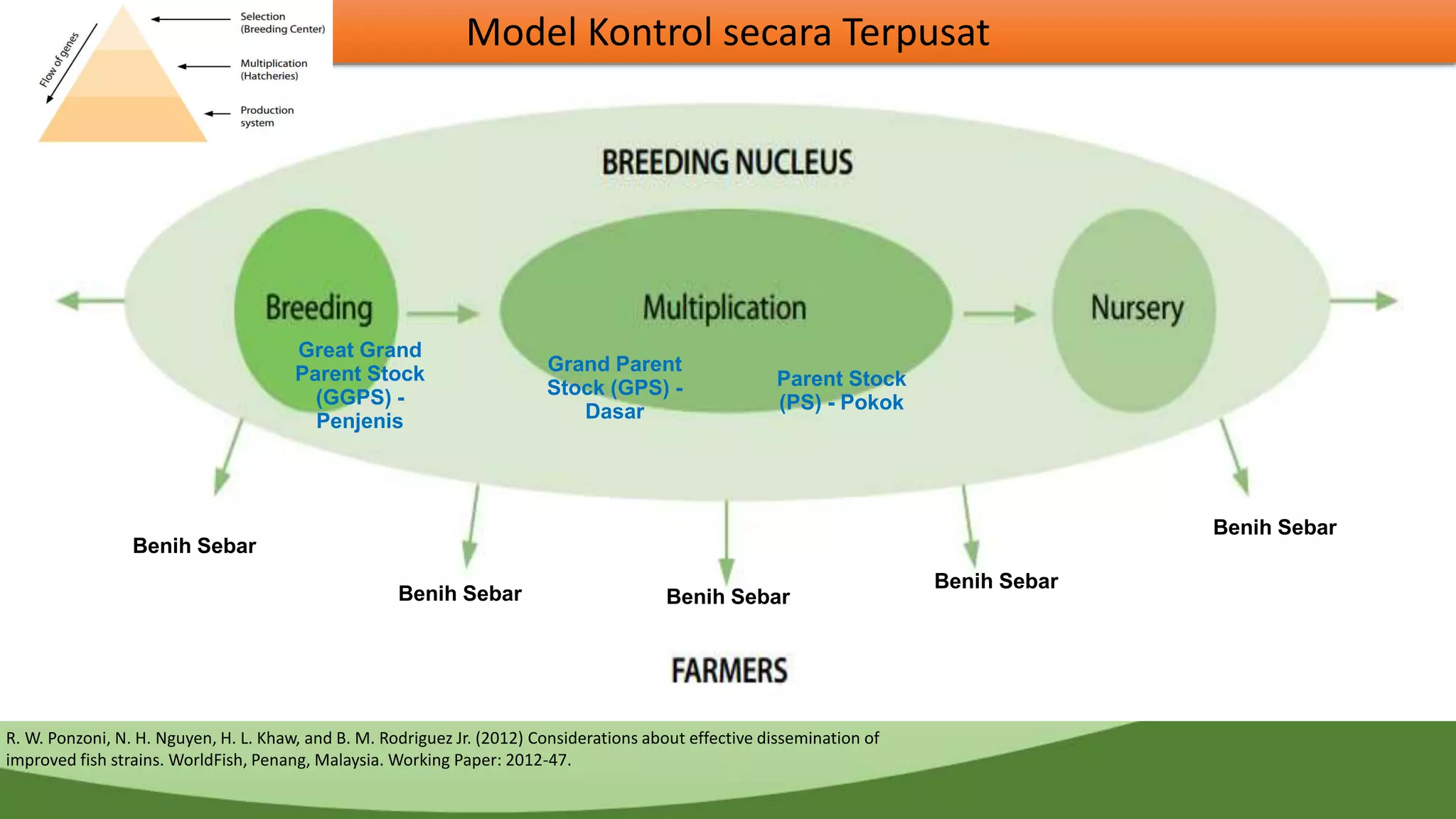 Benih sebar dan benih bina ikan budidaya.pptx