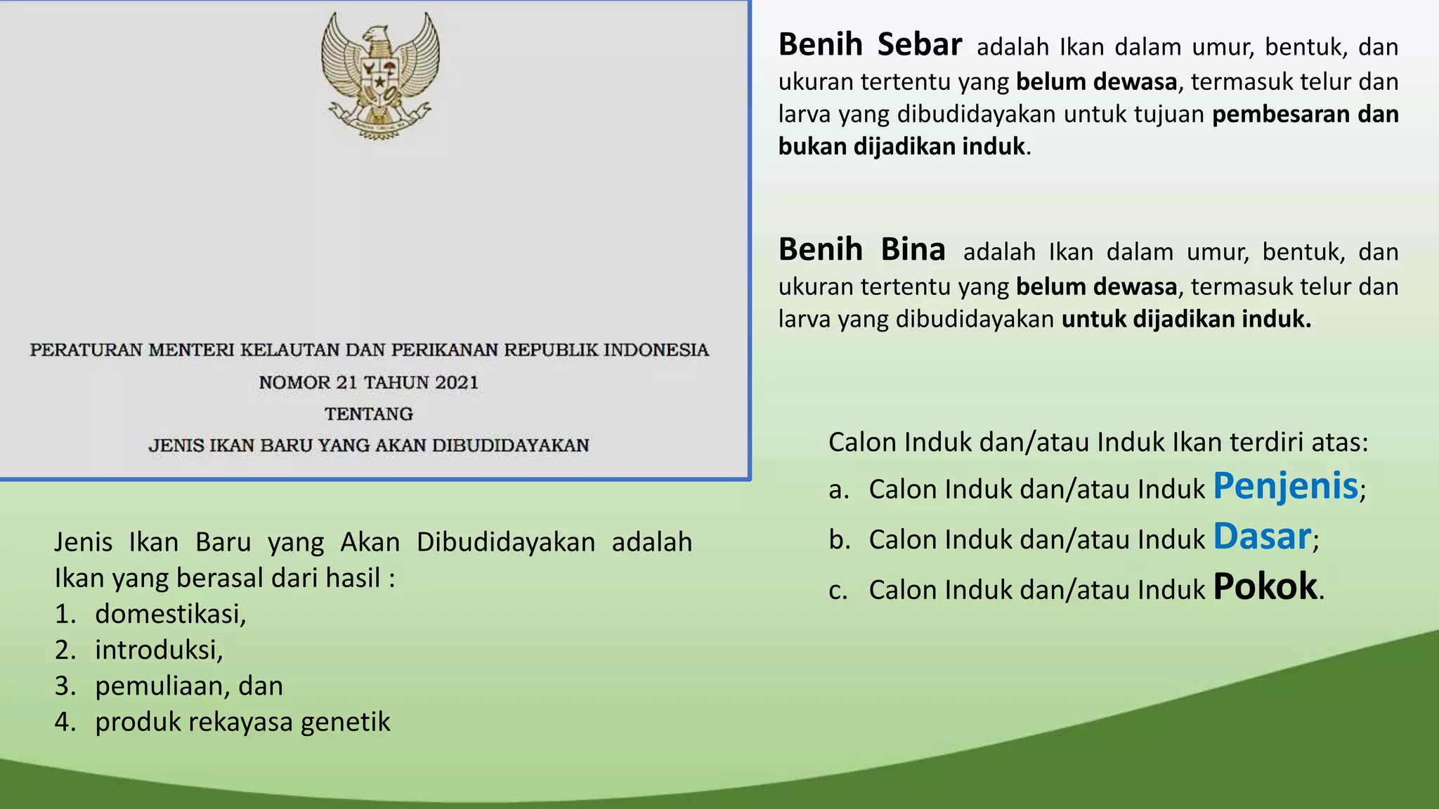 Benih sebar dan benih bina ikan budidaya.pptx