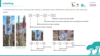 Community-based Monitoring Design and Implementation in Mangrove ...