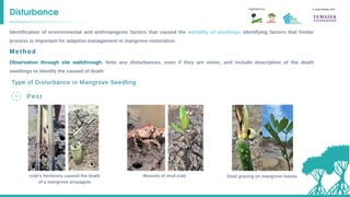 Community-based Monitoring Design and Implementation in Mangrove ...