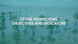 Community-based Monitoring Design and Implementation in Mangrove ...