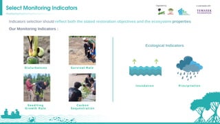 Community-based Monitoring Design and Implementation in Mangrove ...