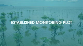 Community-based Monitoring Design and Implementation in Mangrove ...