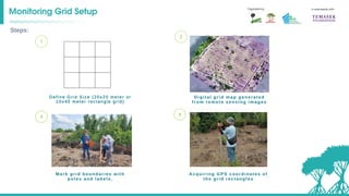 Community-based Monitoring Design and Implementation in Mangrove ...