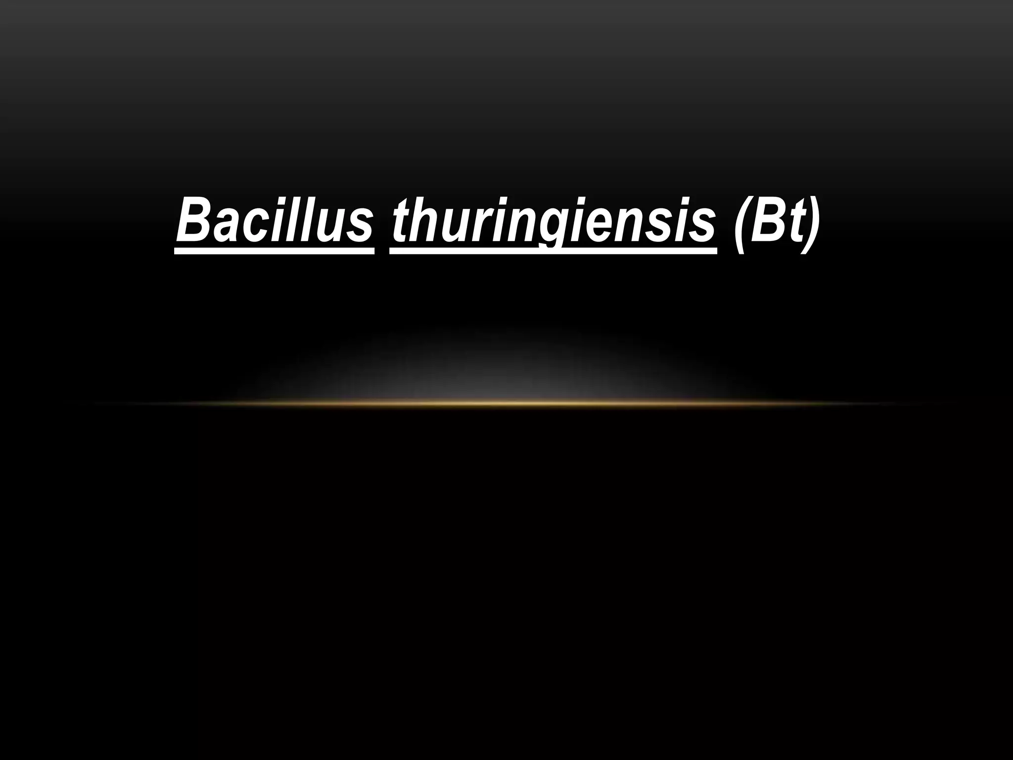 Benish ppt | PPT | Free Download