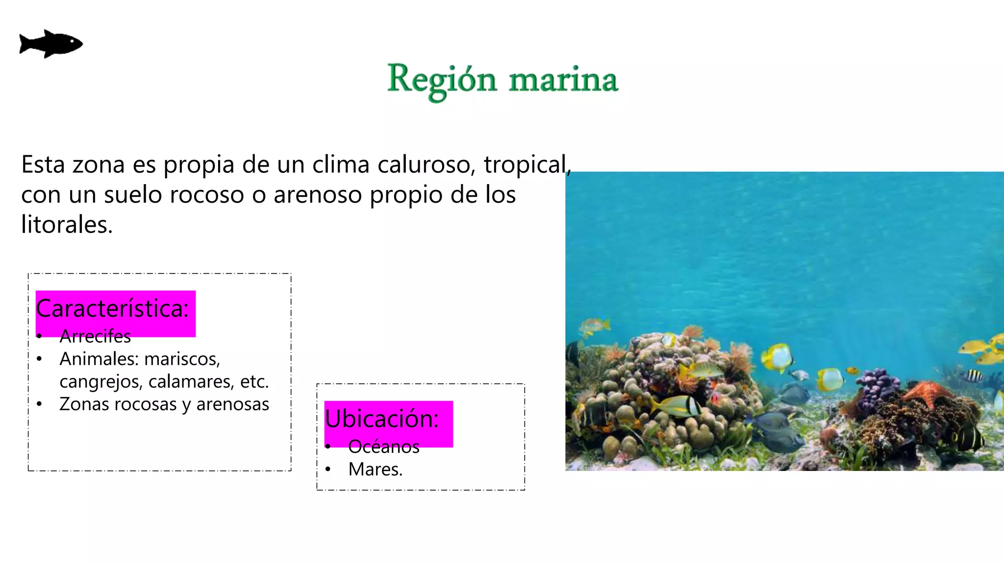 Regiones naturales del mundo. | PPT