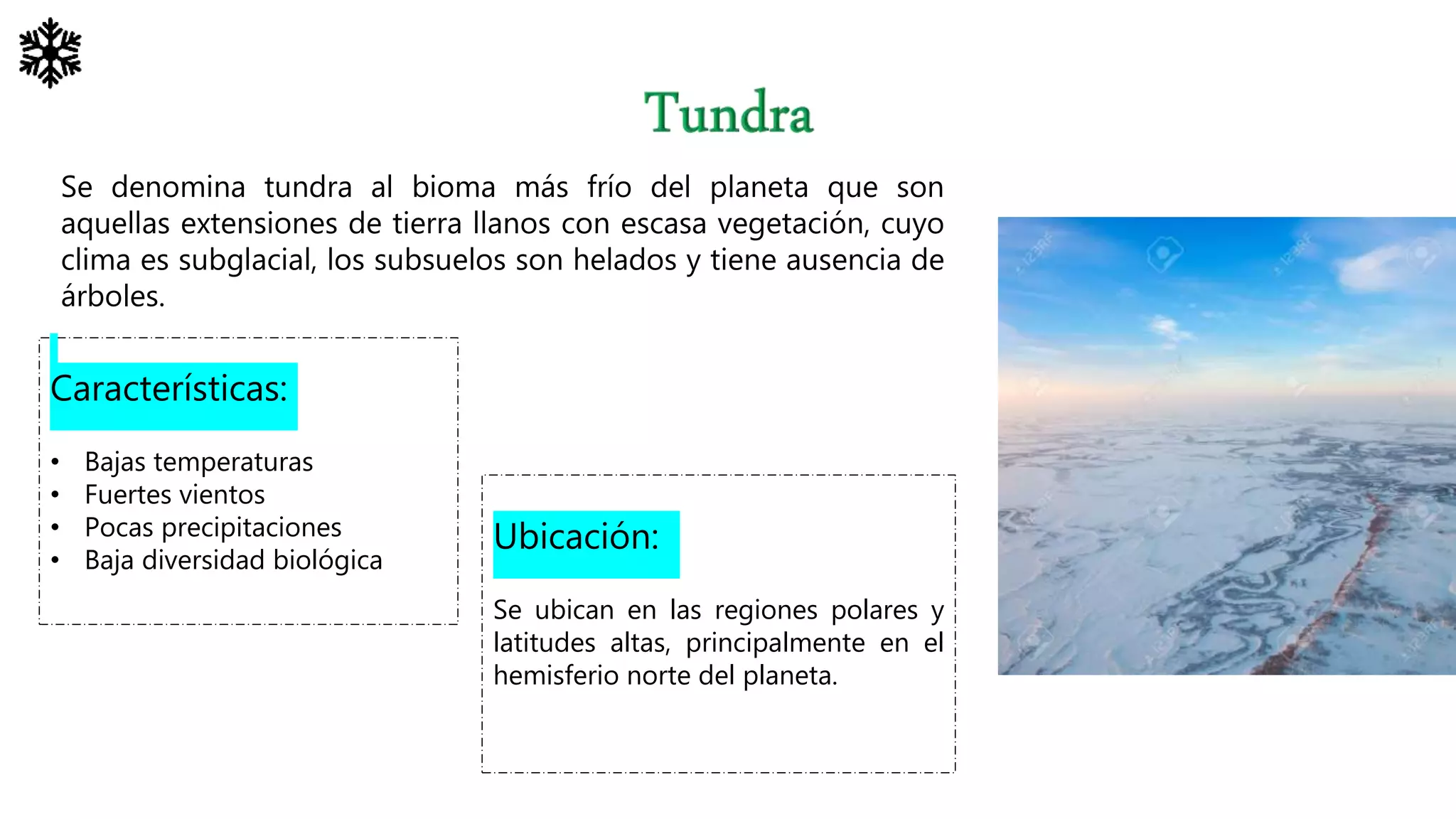 Regiones naturales del mundo. | PPTX