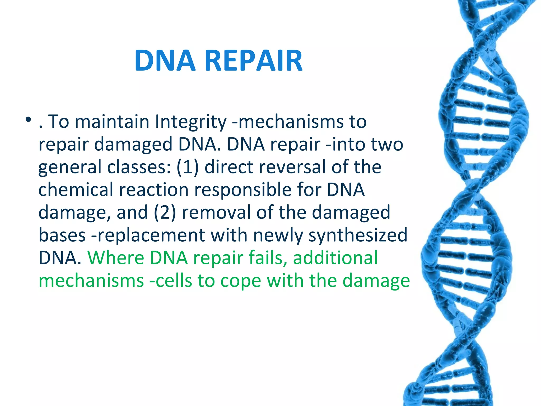 DNA DAMAGE,REPAIR,RECOMBINATION | PPT | Genetics | Science