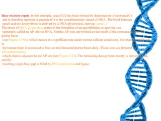 DNA DAMAGE,REPAIR,RECOMBINATION | PPT | Genetics | Science