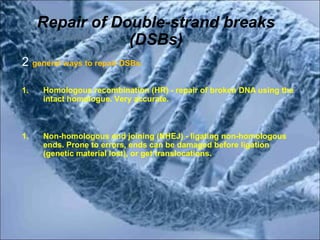DNA DAMAGE,REPAIR,RECOMBINATION | PPT | Genetics | Science