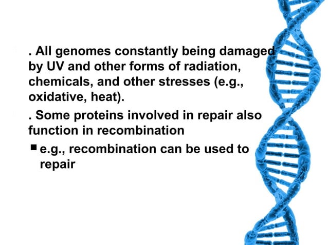 DNA DAMAGE,REPAIR,RECOMBINATION | PPT