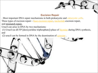 DNA DAMAGE,REPAIR,RECOMBINATION | PPT | Genetics | Science