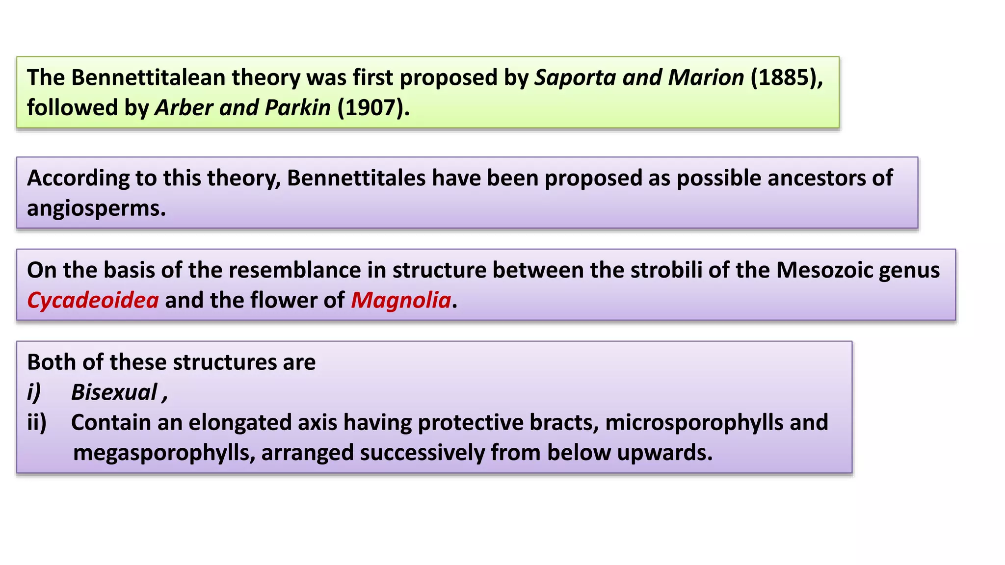 Bennettitalean theory | PPTX