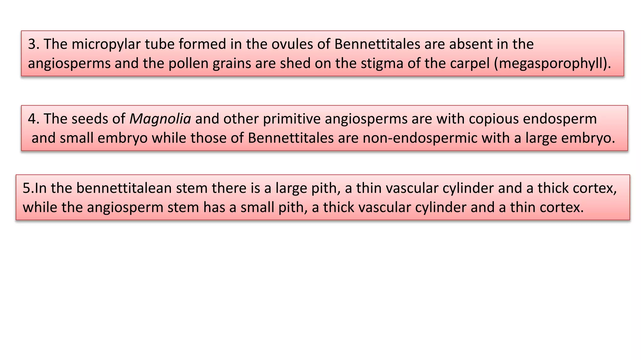 Bennettitalean theory | PPTX