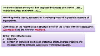 Bennettitalean theory | PPTX