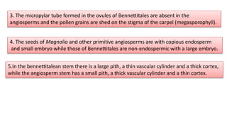 Bennettitalean theory | PPTX