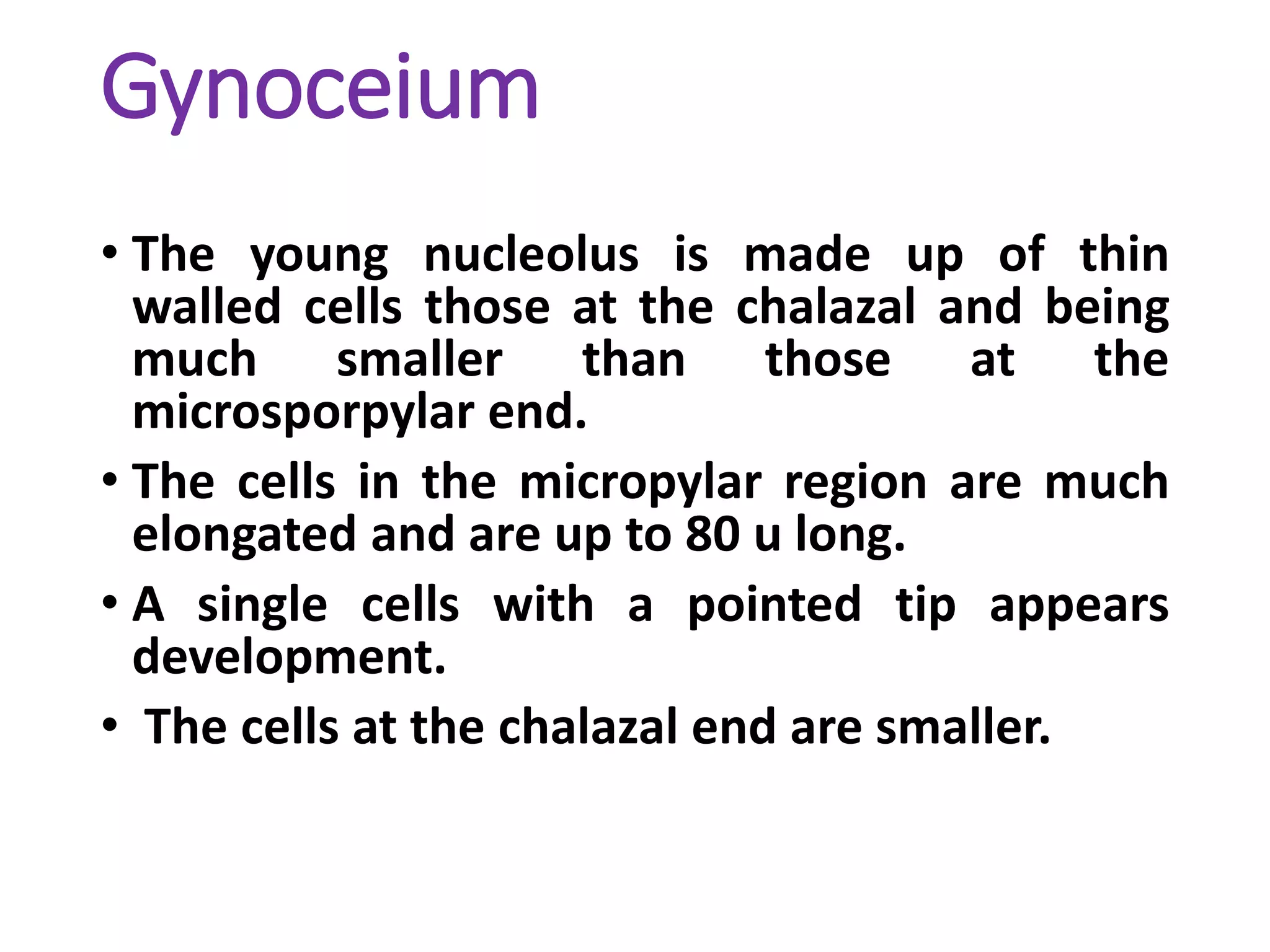 Bennettitales | PPTX