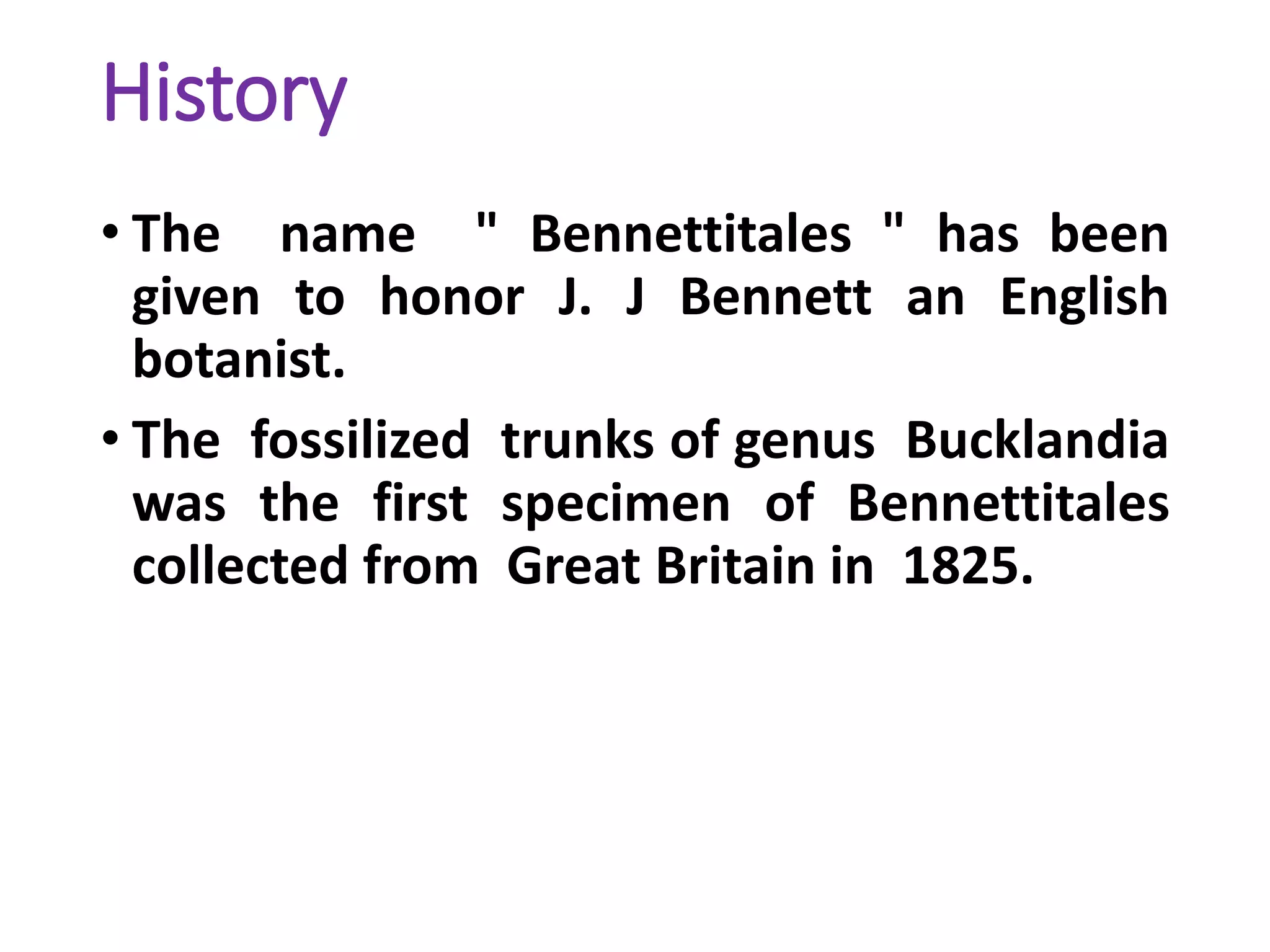 Bennettitales | PPTX