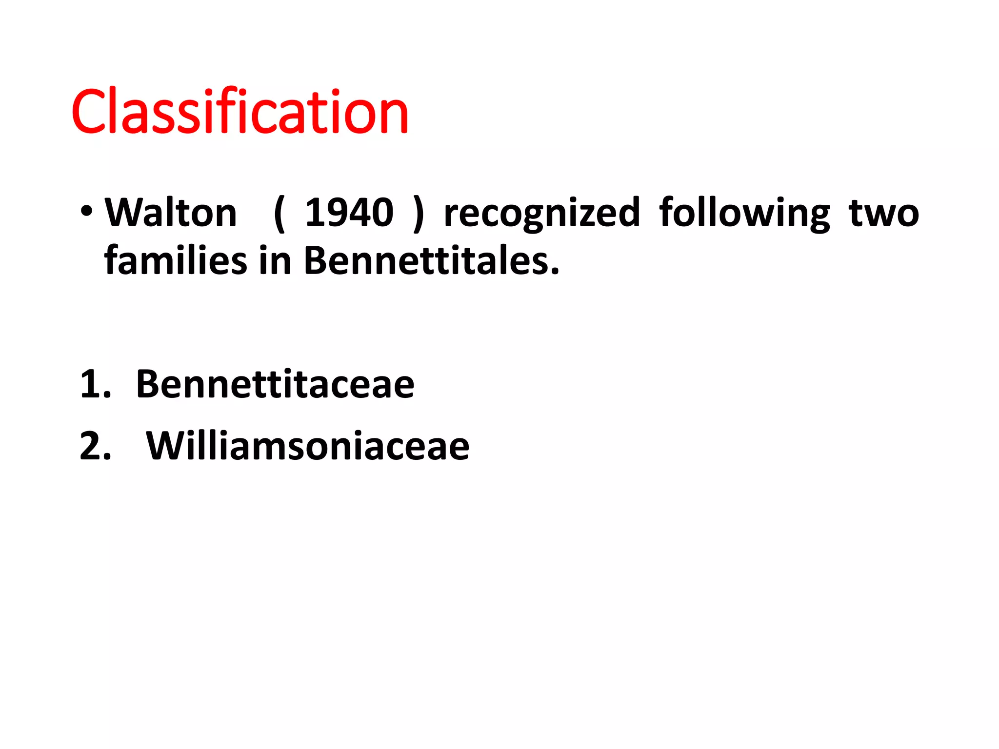 Bennettitales | PPTX