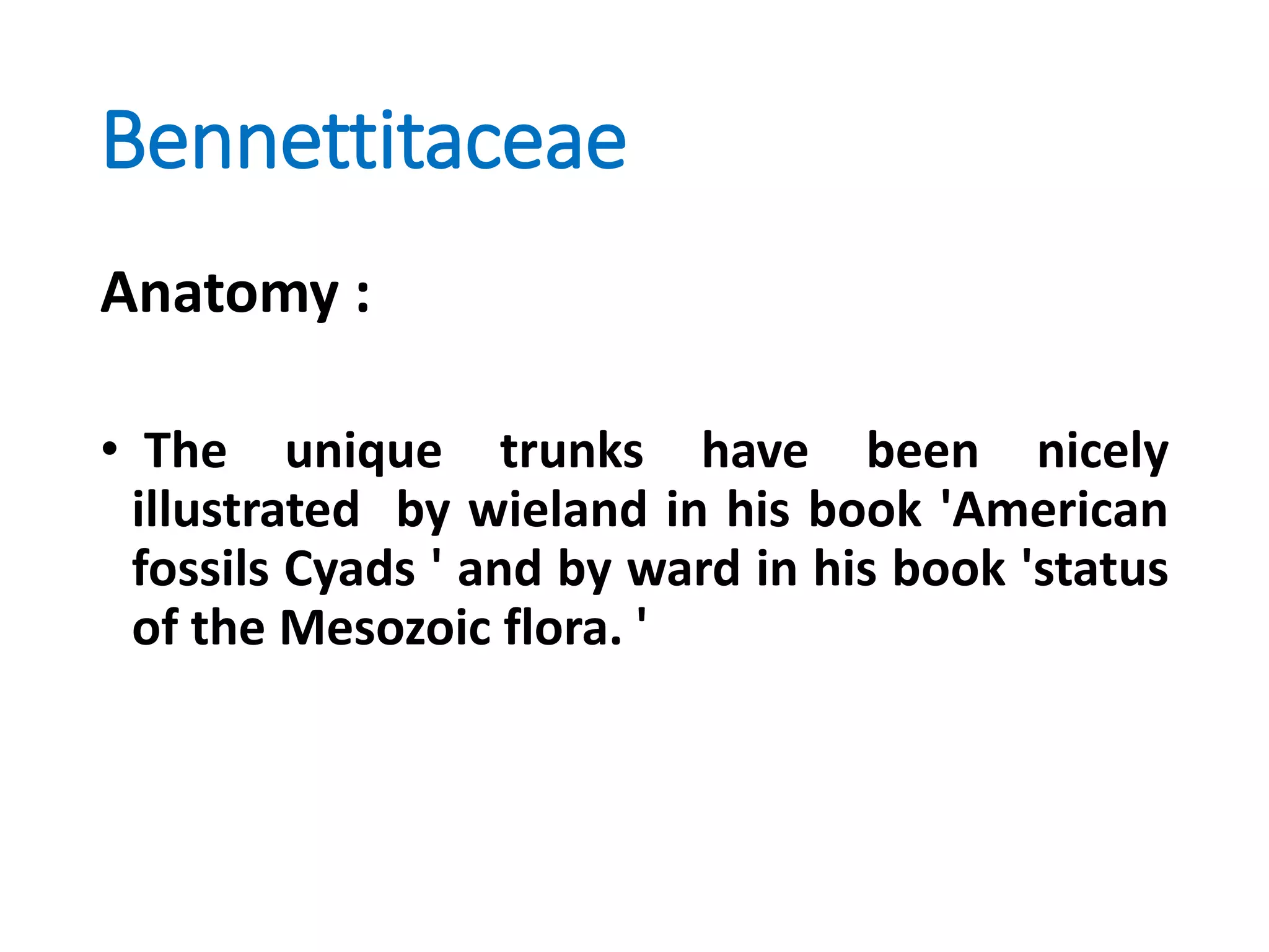 Bennettitales | PPTX