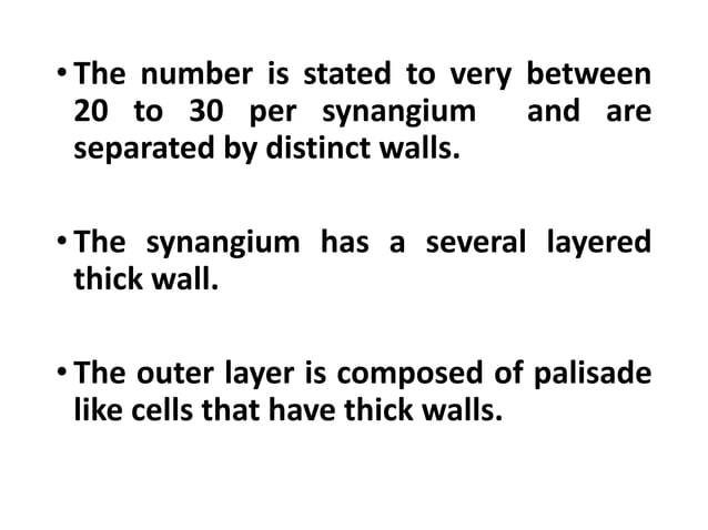 Bennettitales | PPTX | Geology | Science