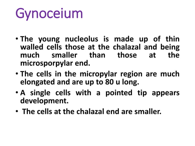 Bennettitales | PPTX | Geology | Science