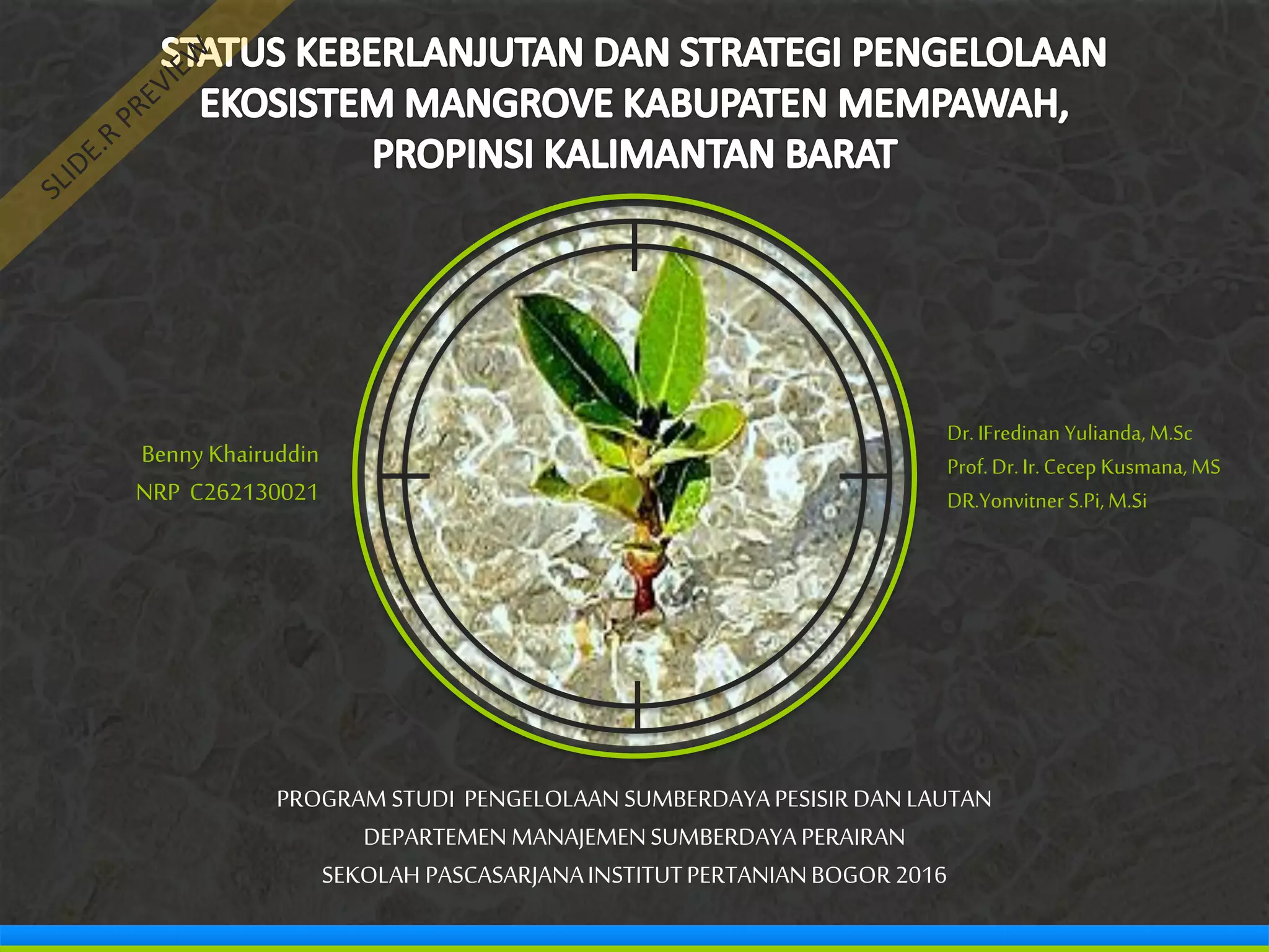 Status Keberlanjutan & Strategi Pengelolaan Ekosistem Mangrove ...