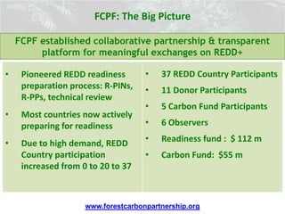 Forest Carbon Partnership Facility | PDF
