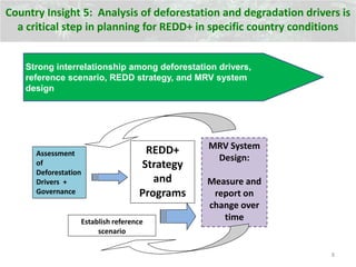 Forest Carbon Partnership Facility | PDF