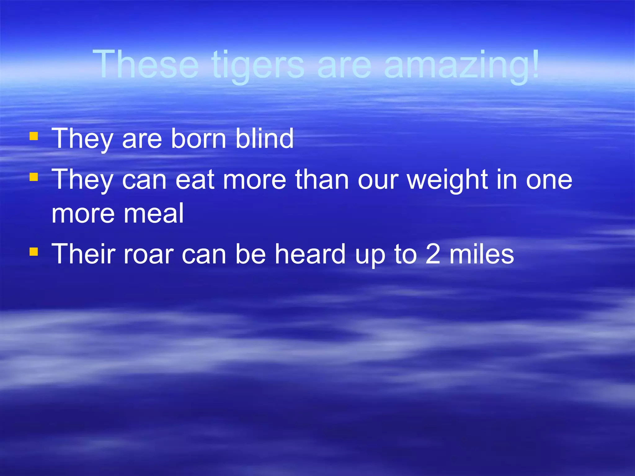 Bens Bengal Tiger Paragraph | PPT